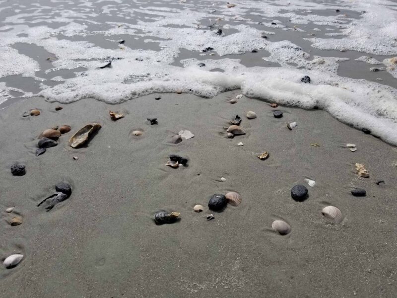 These 10 Reasons You Should Visit Folly Beach will make you want to go!